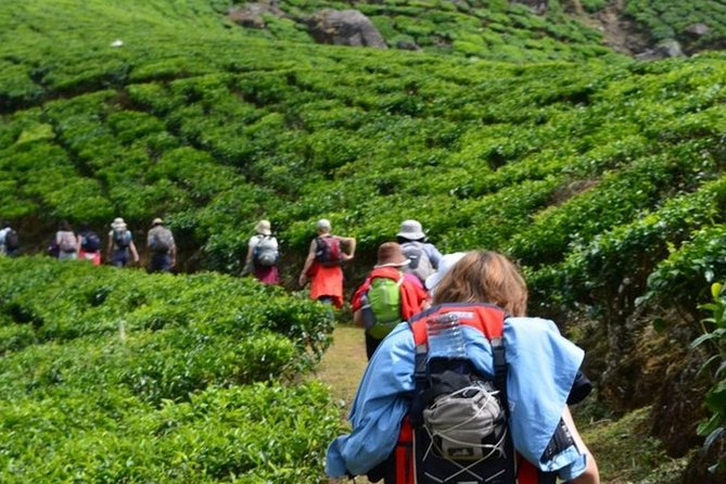 4 Days Best of Kerala Tour with Private Houseboat, Sightseeing & Car - The Sum Up