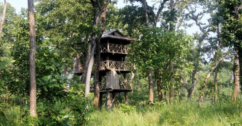 4 Days Chitwan Jungle Tour with 1 Night Jungle Tower stay - Who Will Appreciate This Tour?