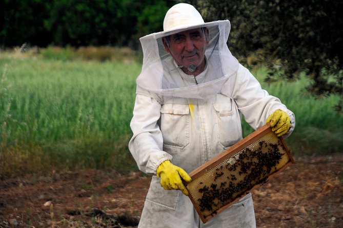 4 Days Classical Private Tour/ Corinth,Mycenae,Nafplio,Sparta,Olympia,Delphi - FAQ