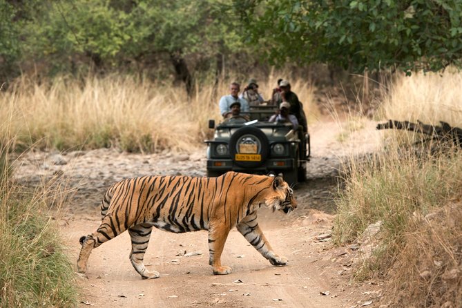 4 Days Golden Triangle Tour with Ranthambore from Delhi - Practical Considerations