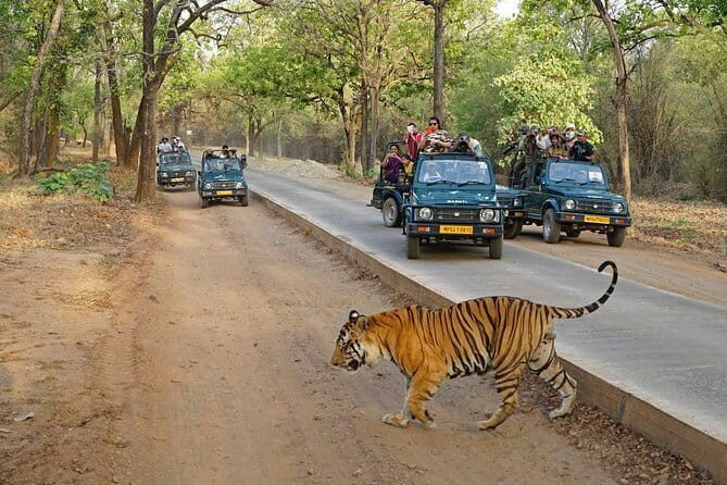 4 Days Golden Triangle Tour with Ranthambore Tigers Safari - Introduction