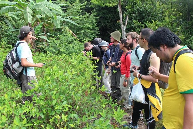 4 Days Inca Jungle to Machu Picchu Standard - Customer Experiences and Recommendations