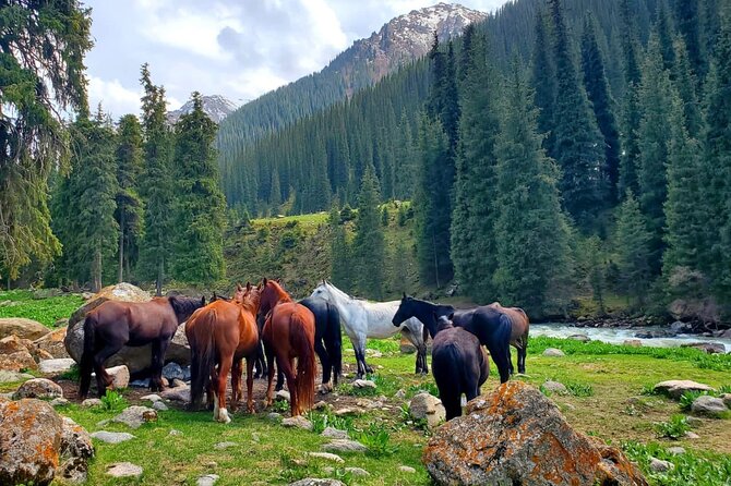 4 Days Issyk Kul & Chon Kemin with Nomadic Stay, Horse riding - The Sum Up