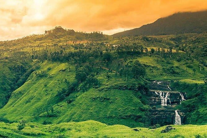 4 Days Kandy Nuwara Eliya - Transportation and Service Quality