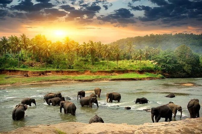 4 Days Kandy Nuwara Eliya - Practical Considerations