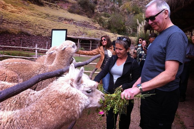 4 Days Machu Picchu Tour - Tour Highlights