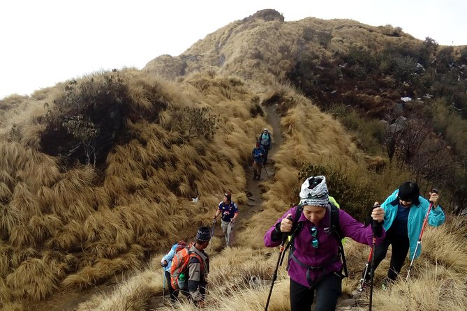 4 Days Mardi Himal Base Camp Trek from Pokhara - Key Points