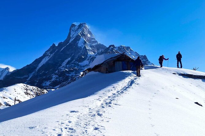 4 Days Mardi Himal Base Camp Trekking in Pokhara - What Sets This Tour Apart