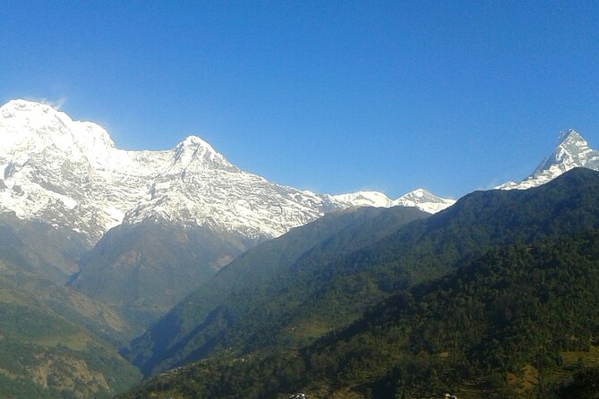 4 Days Mardi Himal Base Camp Trekking in Pokhara - The Experience for Different Travelers