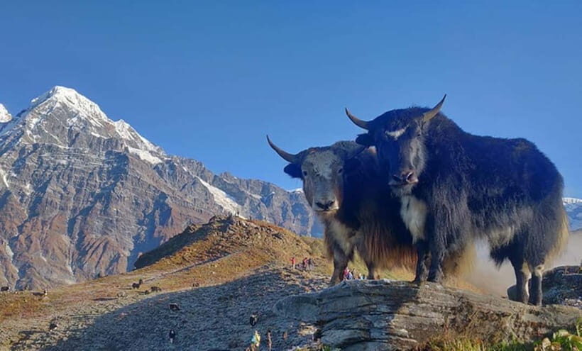 4 Days Pikey Peak Trek : The Best View of Mt Everest - Final Thoughts