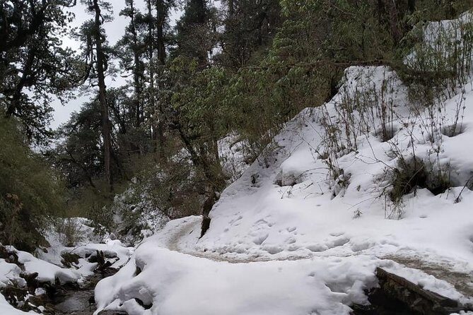 4 Days Poon Hill Trek from Pokhara - Practical Details: What to Expect