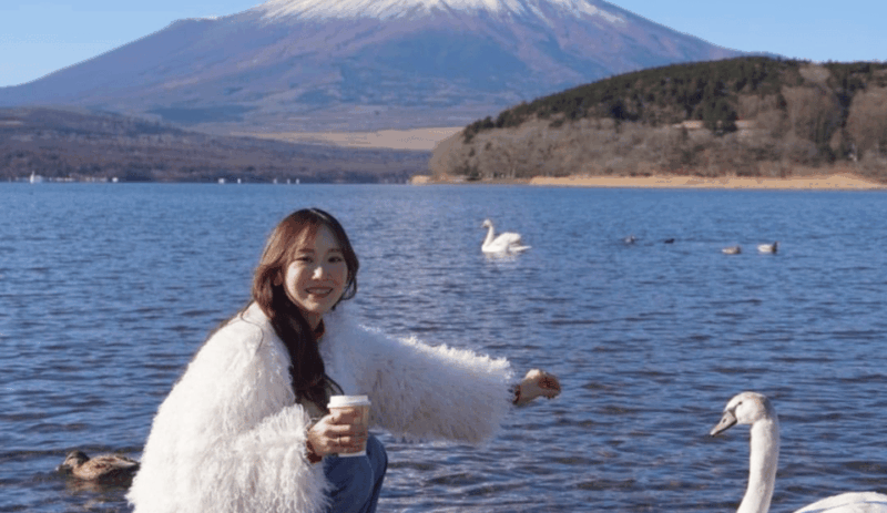 4 Days Private Customize Tour MT Fuji, Hakone, Niko, Tokyo - Key Points