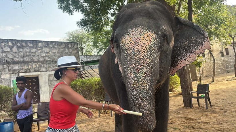 4-Days Private Golden Triangle Tour: Delhi, Agra & Jaipur - Overview of the Experience