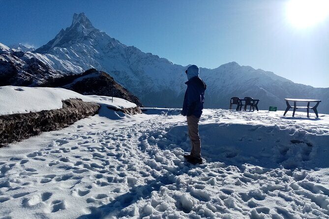4 Days Private Mardi Himal Base Camp Trek - Exploring the 4 Days Private Mardi Himal Base Camp Trek: A Genuine Adventure