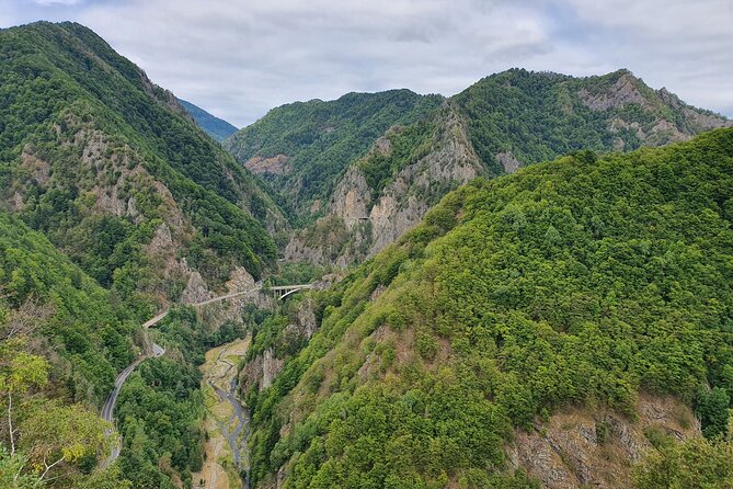 4 Days Private Tour in Romania from Bucharest - Who is This Tour Best For?