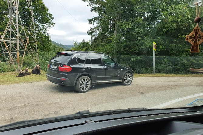 4 Days Private Tour in Romania from Bucharest - Practical Details to Consider