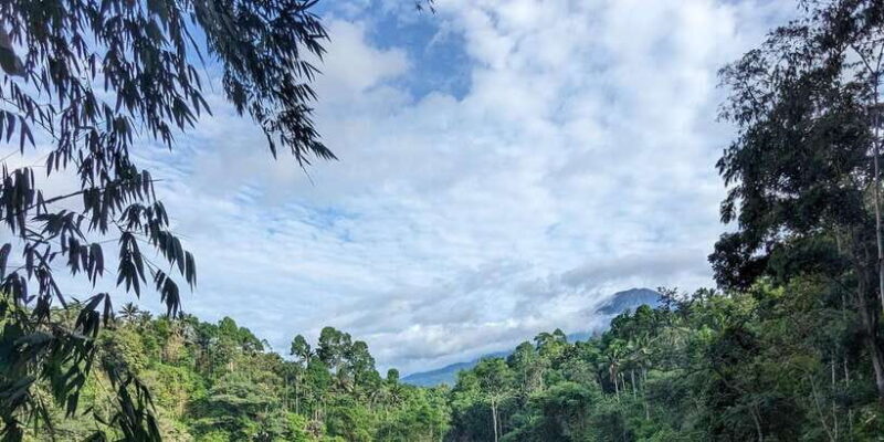 4 days Road trip East java . Mt Bromo, Mt ijen - What Makes This Tour Stand Out