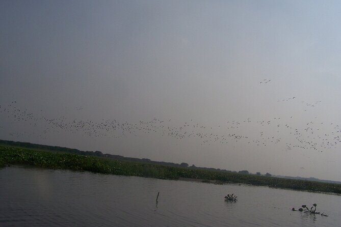 4-Days Srimangal Adventure Tour with Cycling Excursion - Real Traveler Perspectives