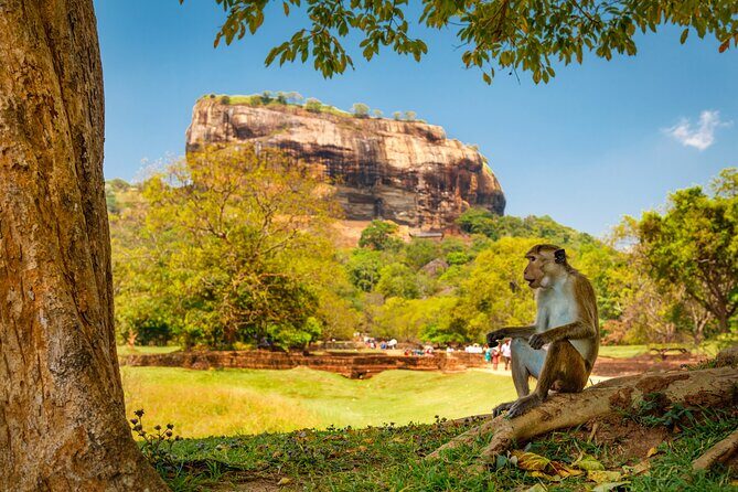 4 Days Tour To Kandy, Nuwara Eliya, Dambulla & Anuradhapura From Colombo - The Sum Up