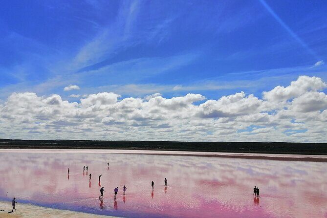 4 Days Tour to Pink Lake Kalbarri, Margaret River and South West - Key Points