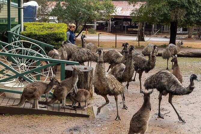 4 Days Tour to Pink Lake Kalbarri, Margaret River and South West - An Overview of the Itinerary