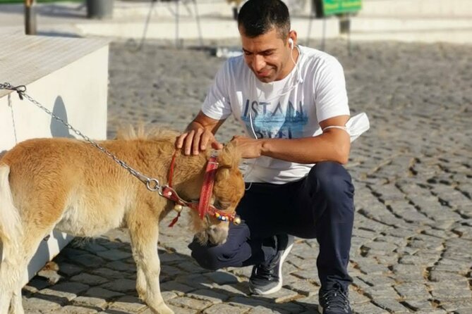 4-Day's Turkey Tour Cappadocia Ephesus and Pamukkale - Final Word