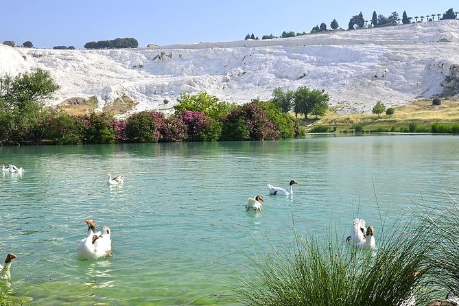 4 Days Turkey Tour - Cappadocia, Ephesus and Pamukkale Tour - Positive Feedback
