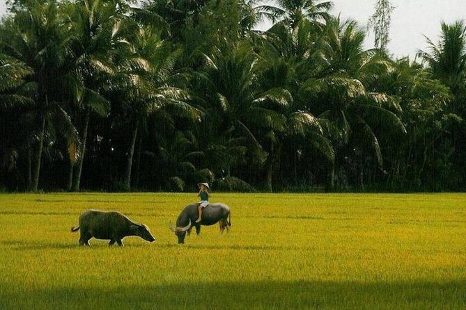 4 Days VIP Private Tour from Dalat - Saigon ( Luxury Car/Private VIP Motorbike) - Key Points