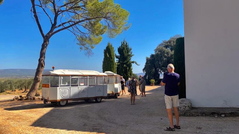 4-days wine trip to Valencia & Requena! 16/9 - 20/9 - 2025 - An In-Depth Look at the 4-Day Itinerary