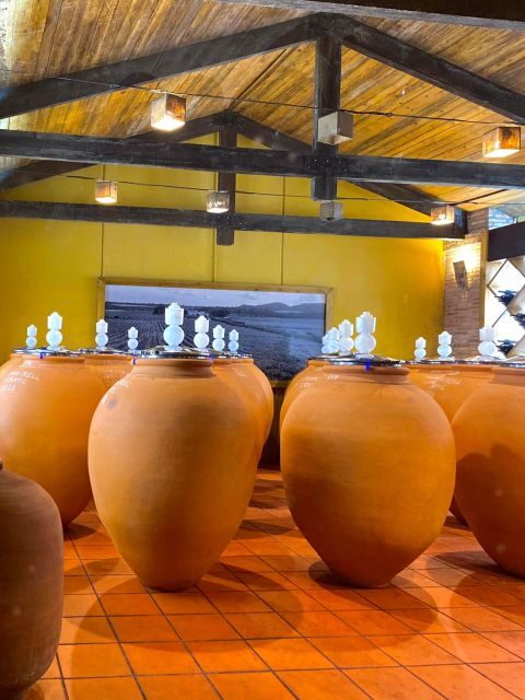 4-days wine trip to Valencia & Requena! 16/9 - 20/9 - 2025 - Practical Details