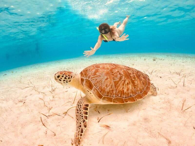 4 Days Yoga, Snorkel and Horseback Riding in Cozumel - The Sum Up