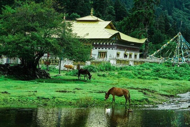 4 Days Yubeng Trekking Tour - Transport, Accommodation, and Value
