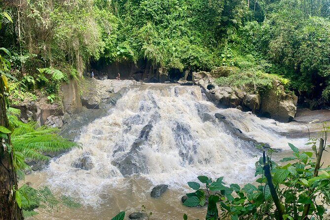 4 Easy Access Waterfalls Private Tour - Introduction