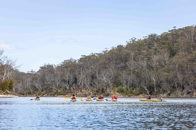 4 Hour Aboriginal Culture Tour Kayaking Pambula River - Final Thoughts