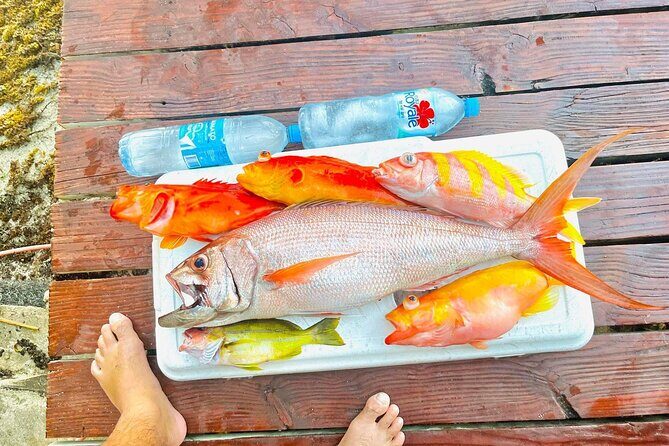 4 Hour Ariki Fishing Activity in Moorea - An Authentic Moorea Fishing Experience