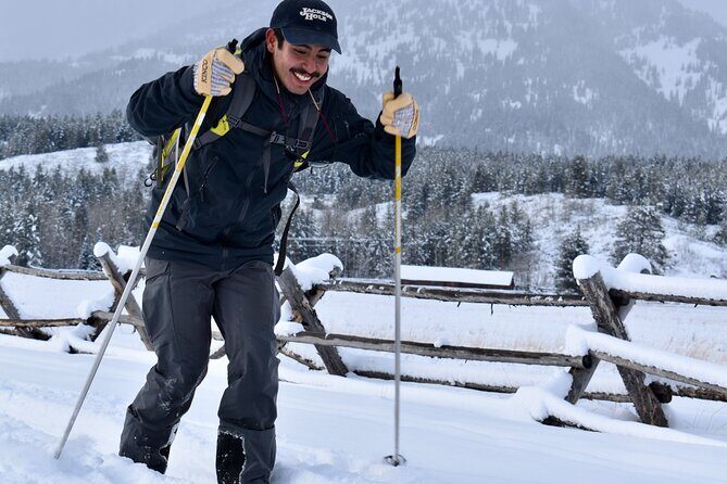 4 Hour Beginner Cross Country Skiing in Grand Teton - The Experience Through the Eyes of Others