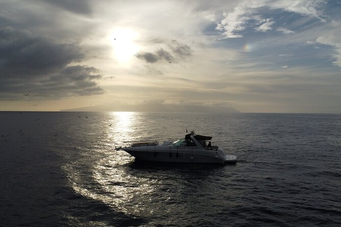 4 Hour Boat Tour With Snorkeling From Puerto Rico and Mogan - Food and Refreshments