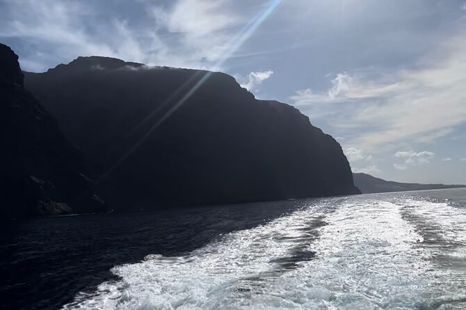 4 Hour Boat Tour With Snorkeling From Puerto Rico and Mogan - Tips and Recommendations