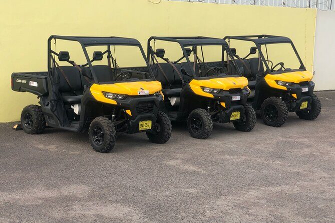 4-Hour Buggy Tour of New Providence (Inclusive of water & local deserts) - Discovering Nassau from Behind the Wheel