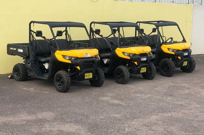 4-Hour Buggy Tour of New Providence (Inclusive of water & local deserts) - Who Would Love This?