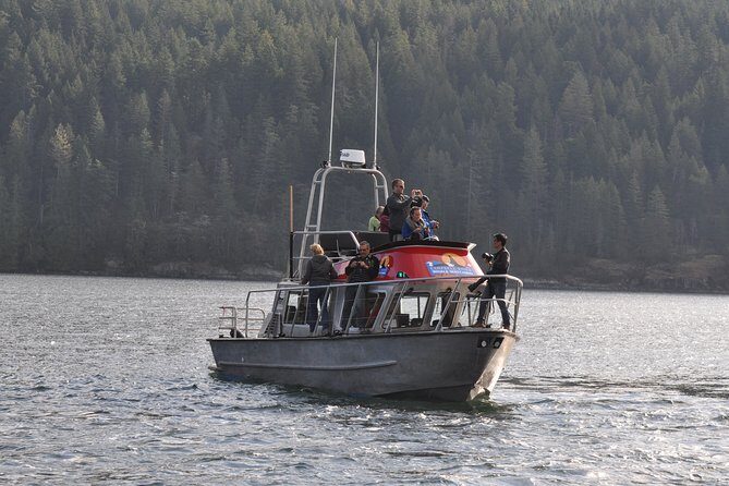 4 hour Covered Boat Whale and Wildlife Tour - A Closer Look at the Experience