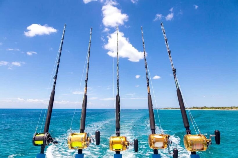 4 hour deep sea fishing experience from punta cana - What to Expect on Your Deep Sea Fishing Trip