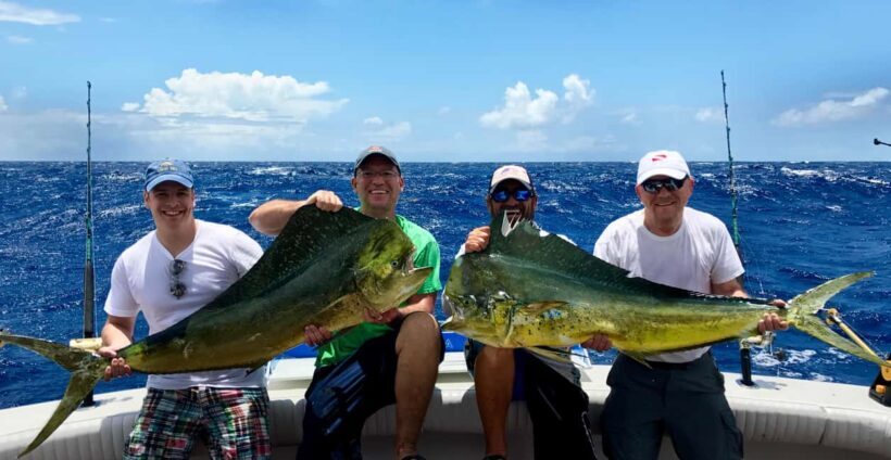 4 hour deep sea fishing experience from punta cana - Price and Value