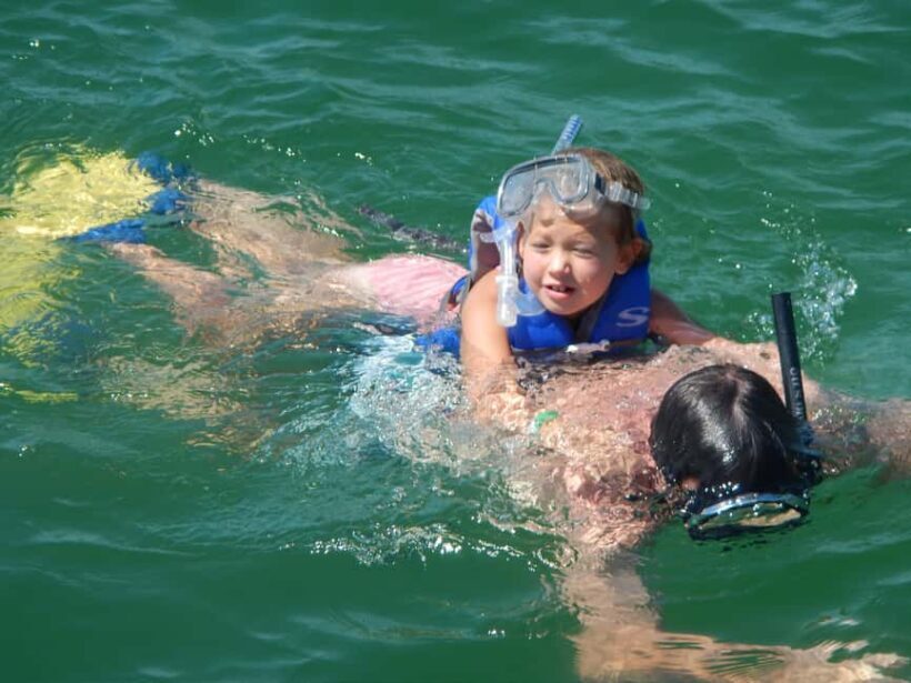 4 Hour Egmont Key Island Tour With Dolphins & Snorkeling - A Deep Dive into the Egmont Key Island Tour