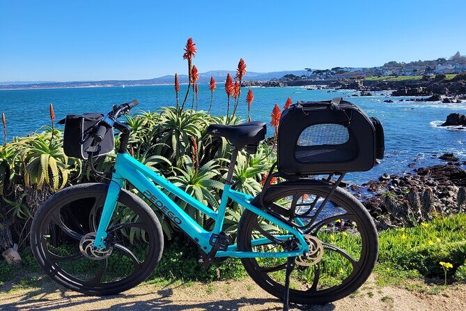 4 hour Electric Bike Rental on 17 Mile Drive - Final Thoughts: Is This Tour Worth It?