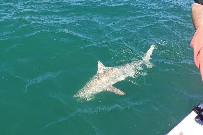 4-hour Fishing Adventure at Belleair Causeway - Final Thoughts