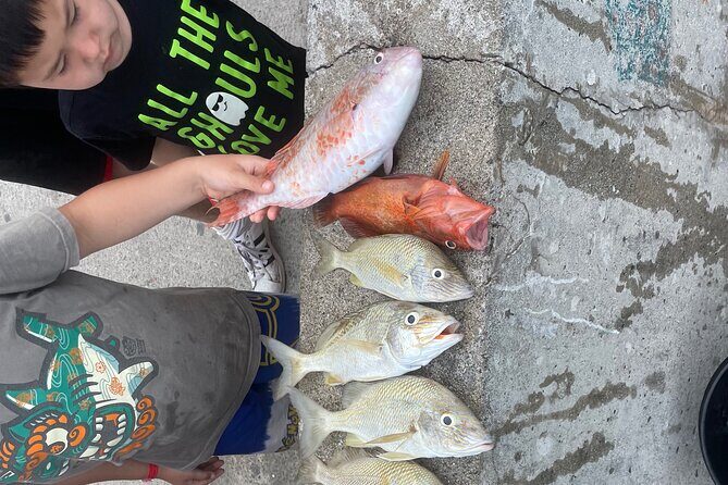 4-Hour Fishing Charter in Nassau - Key Points