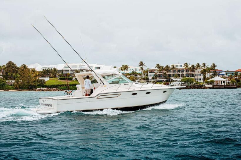 4 hour Fishing or Snorkeling - Practical Tips for Booking and Enjoying Your Trip