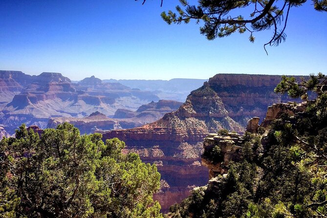 4-Hour Grand Canyon Morning Rim Tour featuring Biblical Creation - What Travelers Say