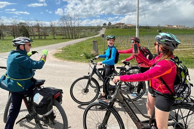 4-Hour Guided E-bike Tour of the Two Wineries in Bardolino - Experiences and Highlights